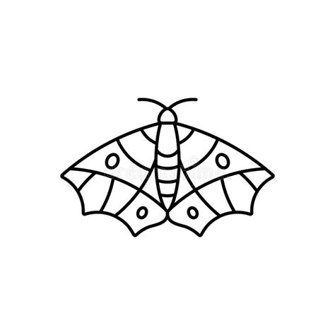 Linear Insect Collecting Icon From Activity And Hobbies Outline Collection Thin Line Insect