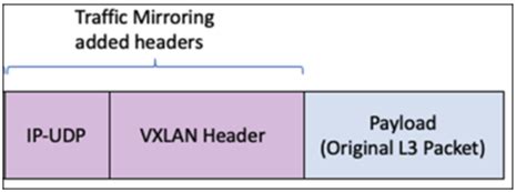 traffic mirroring interesting one — aws advanced networking by