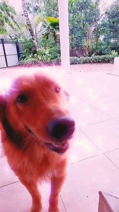 කම්මැලි 😴මොකද කරන්නෙ 🤔 Youtube