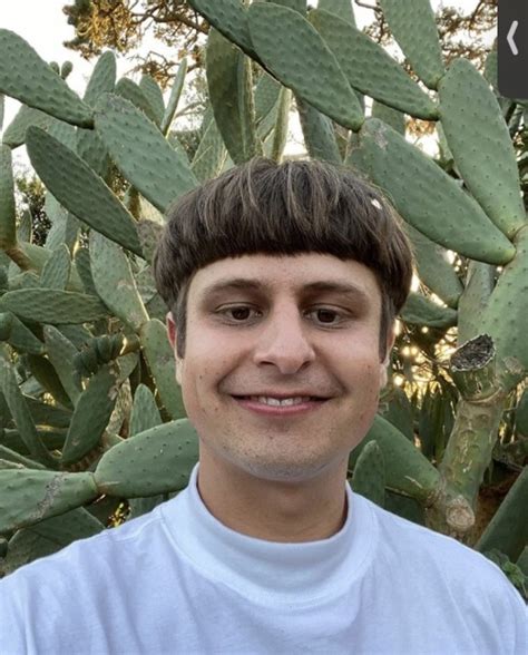 The Oliver Tree ”persona” Theory On Tumblr