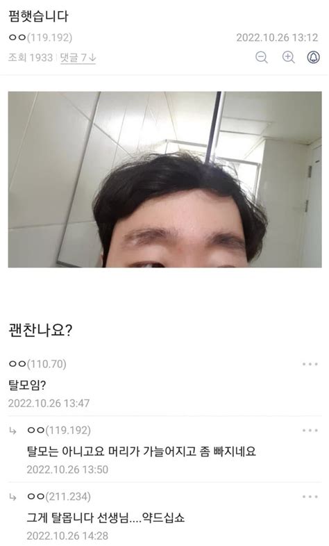 디시 헤어 갤러리 레전드 총집합 포텐 터짐 최신순 에펨코리아