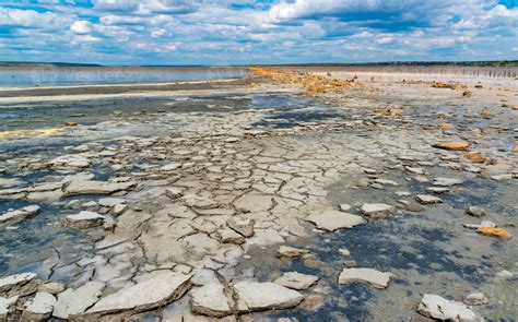 A Dried And Cracked Layer Of Dead Crustaceans Artemia Salina And Their