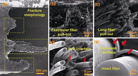Sem Micrographs Of The Microstructure Of Fracture Surface A Side Download Scientific Diagram