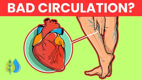 Top 12 Symptoms Of Poor Blood Circulation In Legs