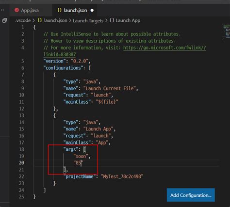 HOBBY vscode launch json 사용하기