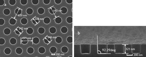 A Overhead And B Cross Sectional Sem Micrographs Of Nanopore Arrays Download Scientific