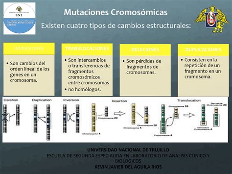Mutaciones Cromosomicas Apuntes De Biología Molecular Docsity