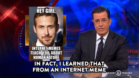 Internet Meme S Get The Best  On Giphy
