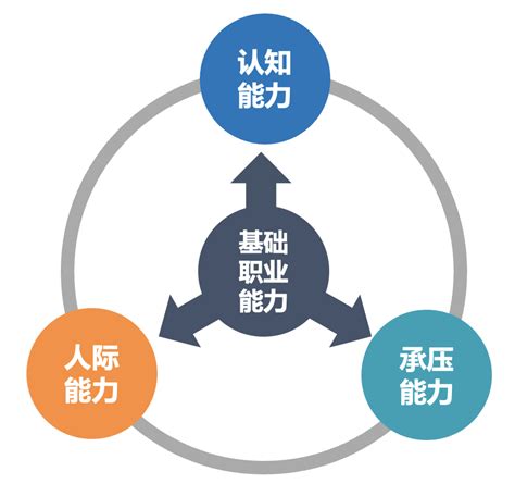 基础职业能力测验 能力天赋 迈普汇智测评 专业的人才测评工具平台与咨询服务提供商