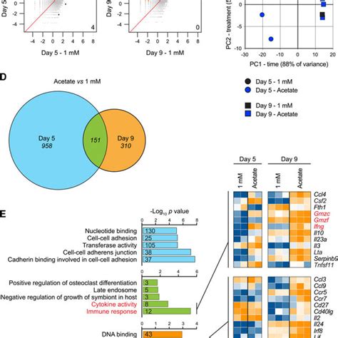 Acetate Promotes Chromatin Accessibility In Glucose Restricted T Cells Download Scientific Diagram