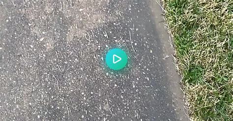 Pure Satisfaction Album On Imgur