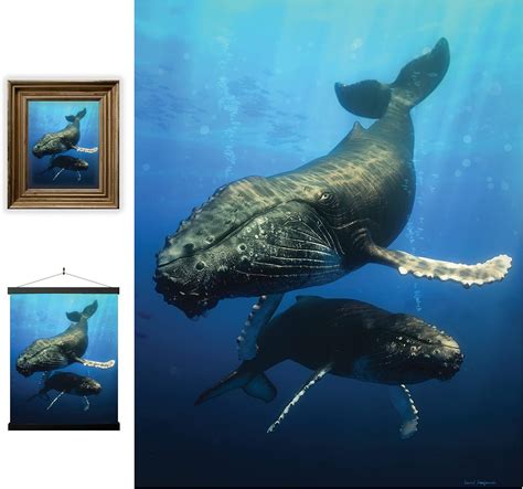 3d Livelife Lenticular Wall Art Prints Blue Whale From Deluxebase