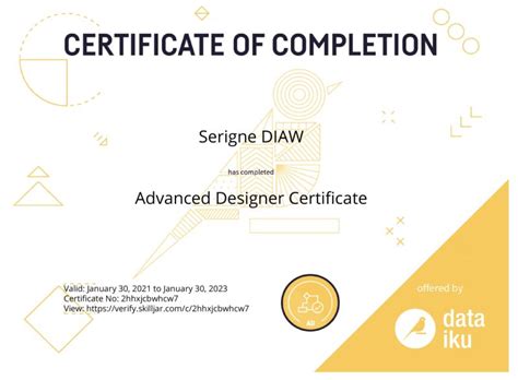 Serigne Diaw On Linkedin View My Verified Achievement From Dataiku