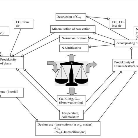 Nutrient Cycle In Semi Natural Ecosystems Oder Nutrient Cycle Download Scientific Diagram