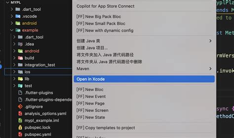 Flutter 插件开发 原生插件开发 Plugin Packages Hczhhm 博客园