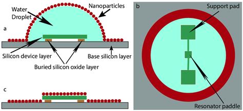 Schematic Of Self Assembly Of Nanoparticles Not To Scale A Side