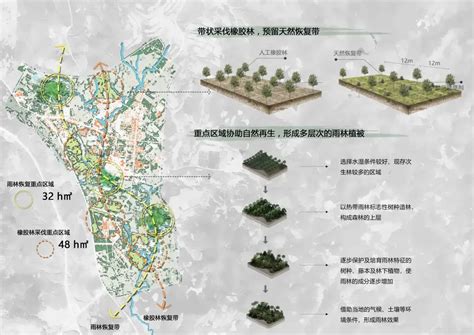 生态系统保护和修复，如何实现质的飞跃？ 知乎