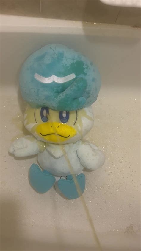 Staining My Large Quaxly Plush