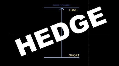 How To Hedge Trading Forex Forex Hedging Strategy Youtube