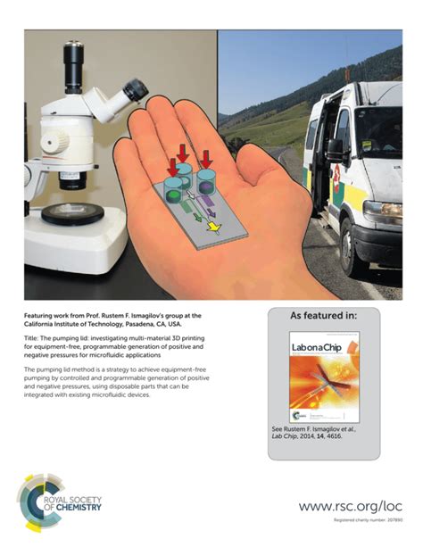 Registered Ismagilov Group