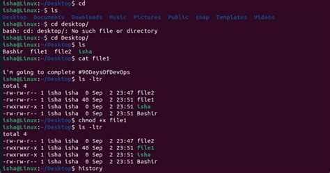 Isha Bashir On Linkedin Day3 90daysofdevops 90daysofdevops Filemanagement Linux Diffcommand