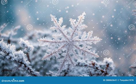 Beautiful Snowflake Macro Photography Detail Stock Illustration