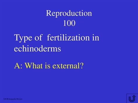 Echinoderms Reproduction