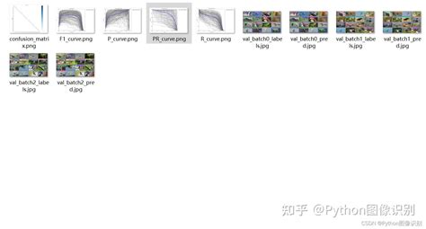 基于深度学习的鸟类检测识别系统（含ui界面、yolov5、python代码、数据集） 知乎
