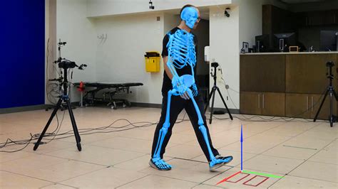 Markerless Motion Capture System A Guide For Beginners
