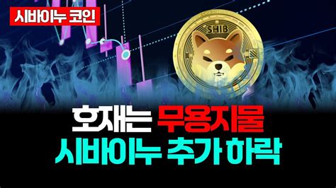 시바이누 하락 절대로 매수 금지 투자자 필수 시청 Youtube