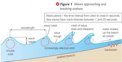 Coasts Theory Questions Flashcards Quizlet