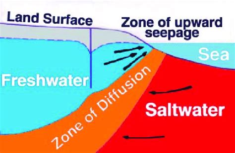 Conceptual Diagram Of Saltwater Freshwater Interface In An Unconfined