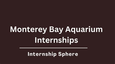 Monterey Bay Aquarium Internships 2024 Internship Sphere