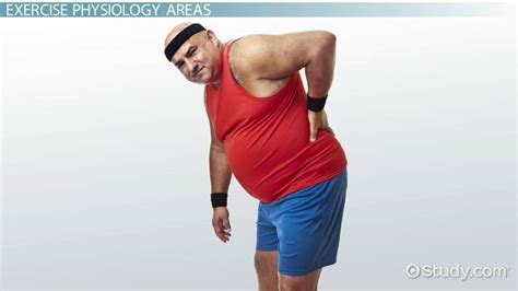 Exercise Physiology Definition And Goals Lesson