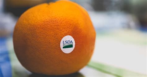 The Us Exports More Fruits And Vegetables Than Any Other Country As