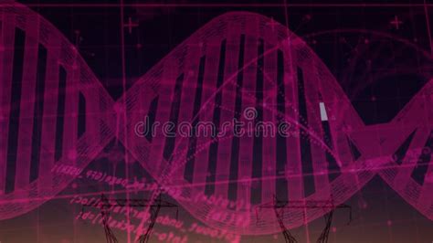 Processing Scientific Data Dna Strand Intertwines With Binary Coding In Animation Stock Footage