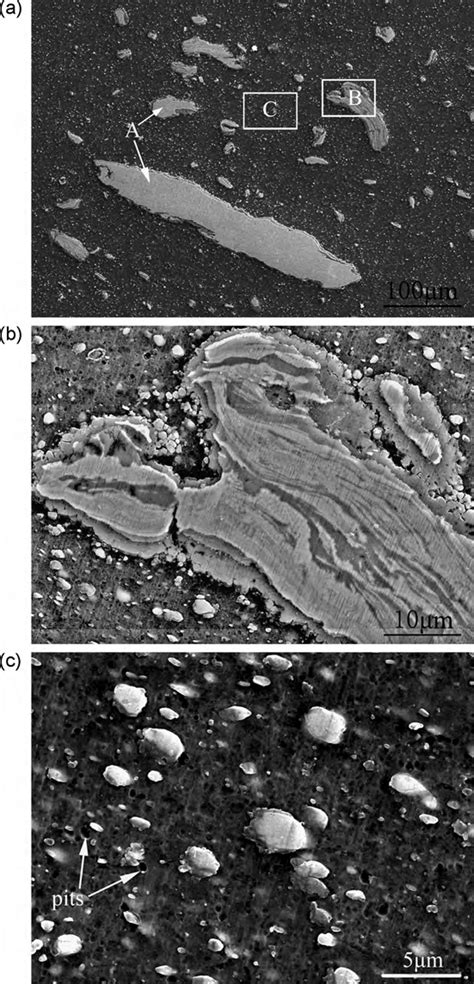 The Microstructure Of Fsp Specimen By Sem A As Fsp Condition B