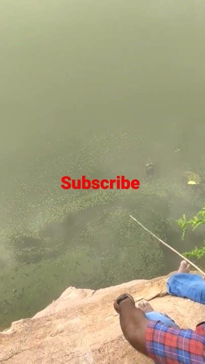 மீன் பிடிக்கலாம் வாங்க Tamilselvi Vlog In Tamil Youtube