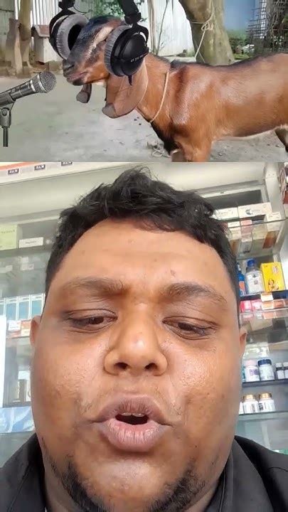 ছাগল গান Youtube