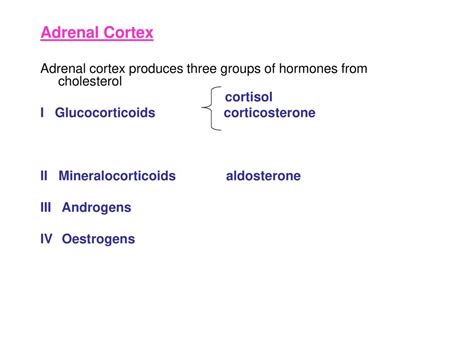 The Adrenal Gland Ppt Download