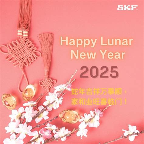 Skf Skfisea Skfsmp Weareskf Singapore Malaysia Philippines