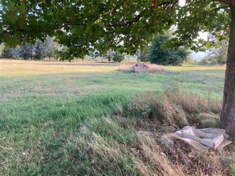 Подай ръка на природата Асеновград онлайн