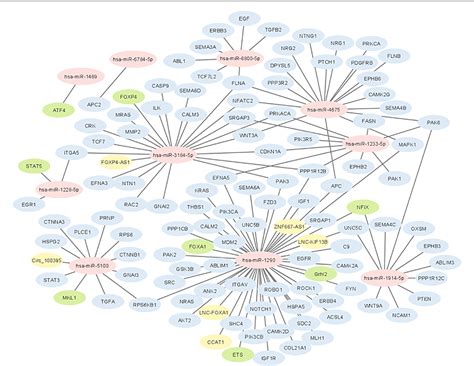 Figure 1 From Identifying Potential Circulating Mirna Biomarkers For The Diagnosis And