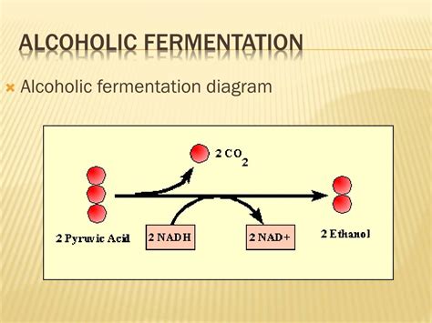 Ppt Cellular Respiration Powerpoint Presentation Free Download Id