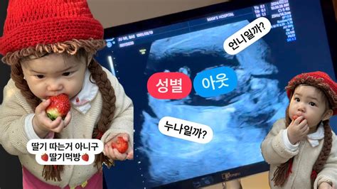 율하로그🤍 14개월아기 첫 🍓딸기따기 체험지금은 16개월 성별아웃🍑🌶️ 여동생 남동생 Youtube