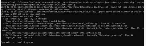 Python Modelsofficialvisionimageclassificationefficientnet