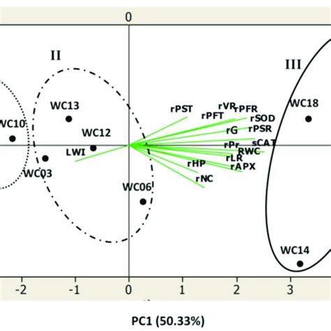 Loading Plot Obtained From Principal Component Analysis Pca Carried