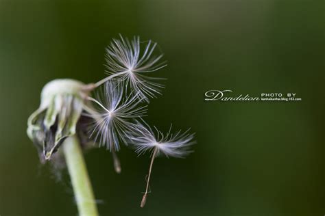 Angular课程介绍 专题内容 黄兵的个人博客