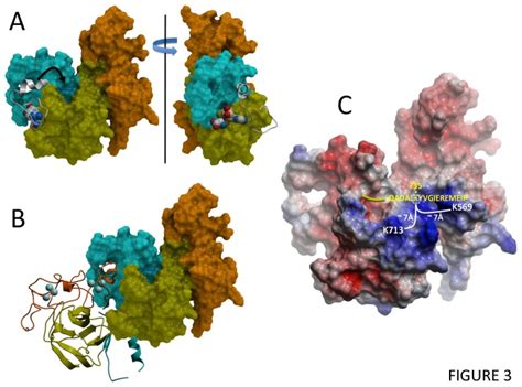 A Superimposition Of The Ezh2 Structure Colored Mesh Post Set Shown Download Scientific