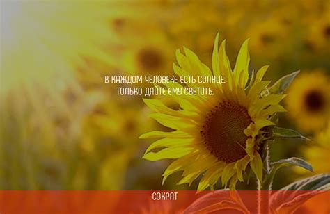 Цитаты про солнце | Космос, вселенная, тайны, жизнь...